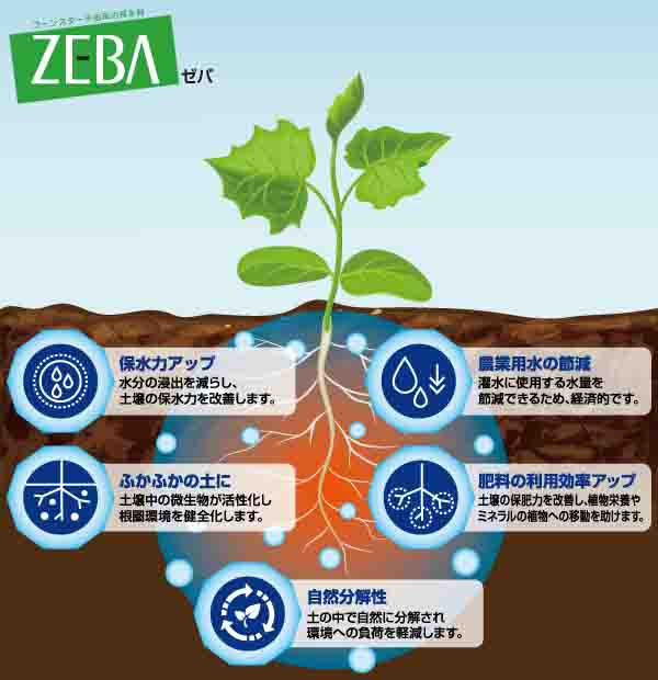 高温対策の保水ポリマー「ZEBA」3月1日発売 アリスタと ファイトクローム│